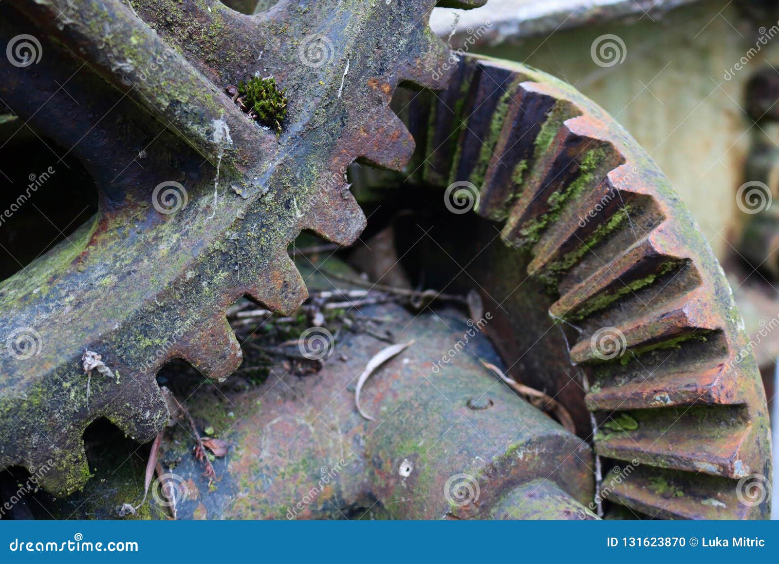 Old Aged Two Rusty Dirty Gears from the Bridge Stock Photo - Image of ...
