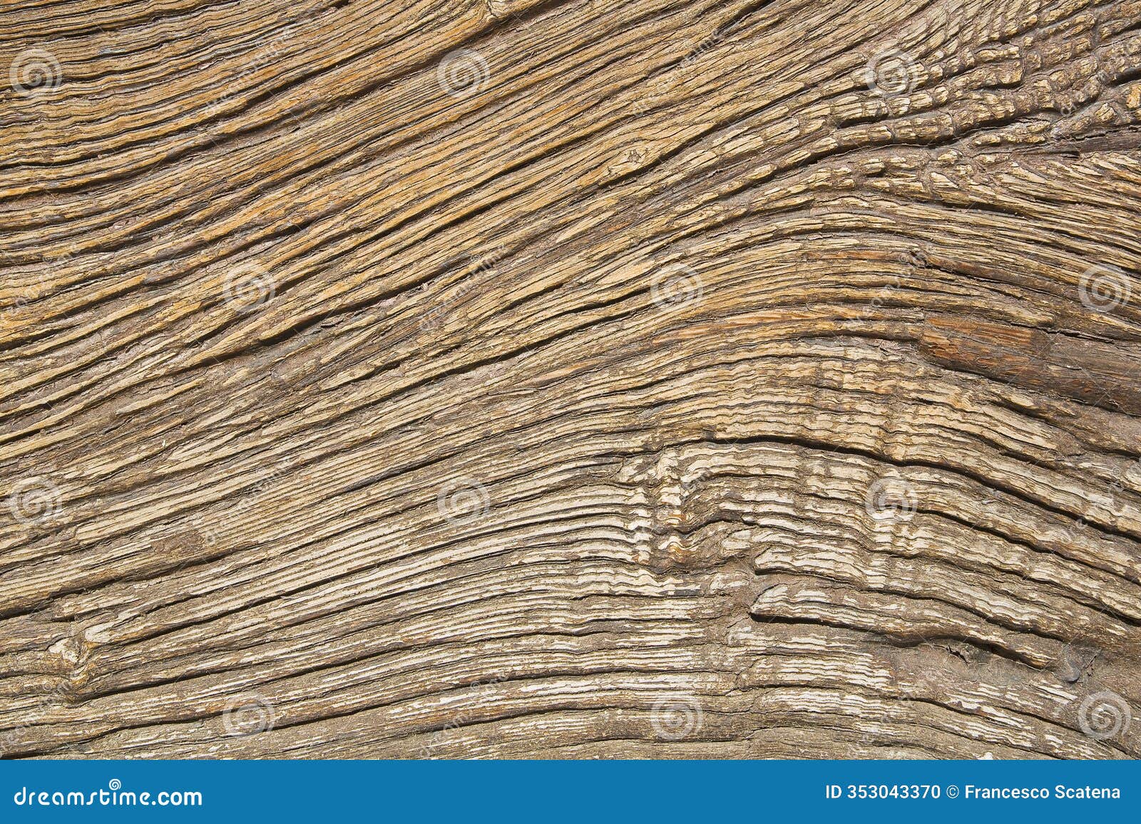 Old Aged and Weathered Natural Wooden Panel Stock Photo - Image of ...