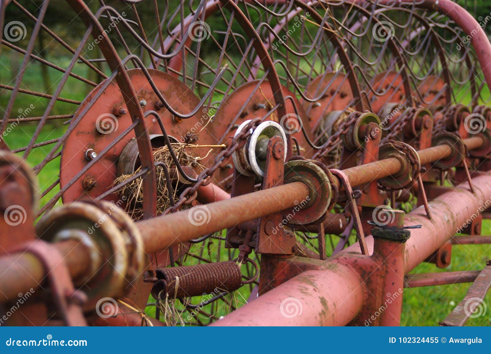 Rake for hay stock image. Image of rake, farm, country - 102324455