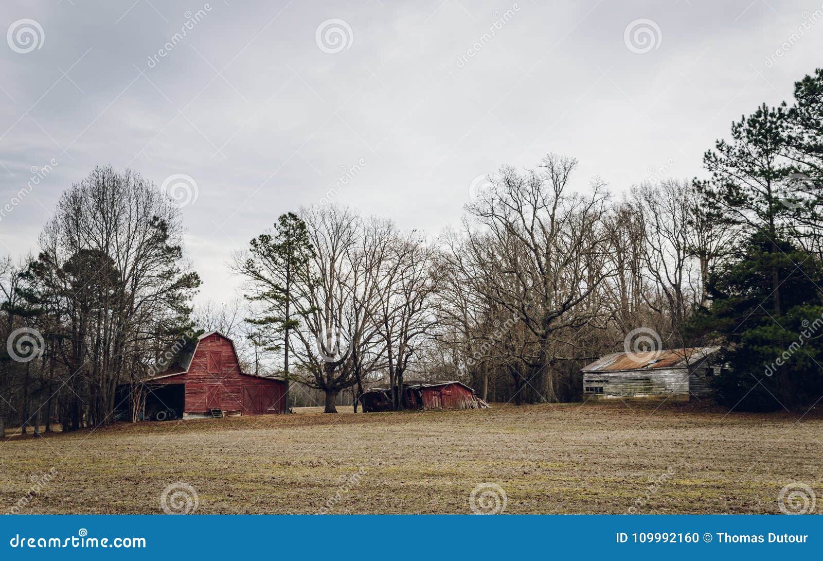 Old American barns stock photo. Image of broken, outside - 109992160