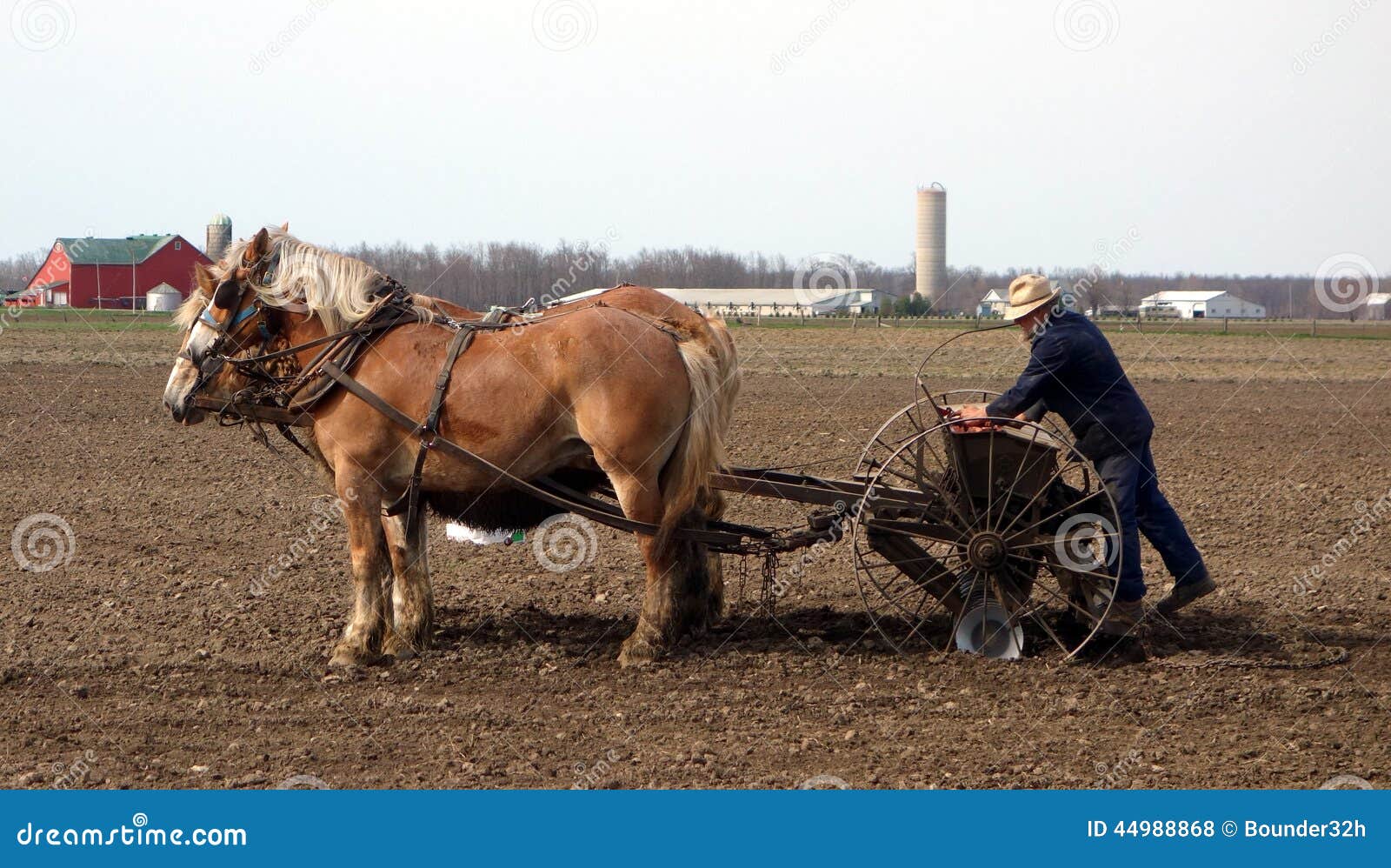 An Old Amish Farmer Seeding His Fields Editorial Stock Photo - Image of ... An Old Amish Farmer Seeding His Fields Editorial Stock Photo - Image of ...