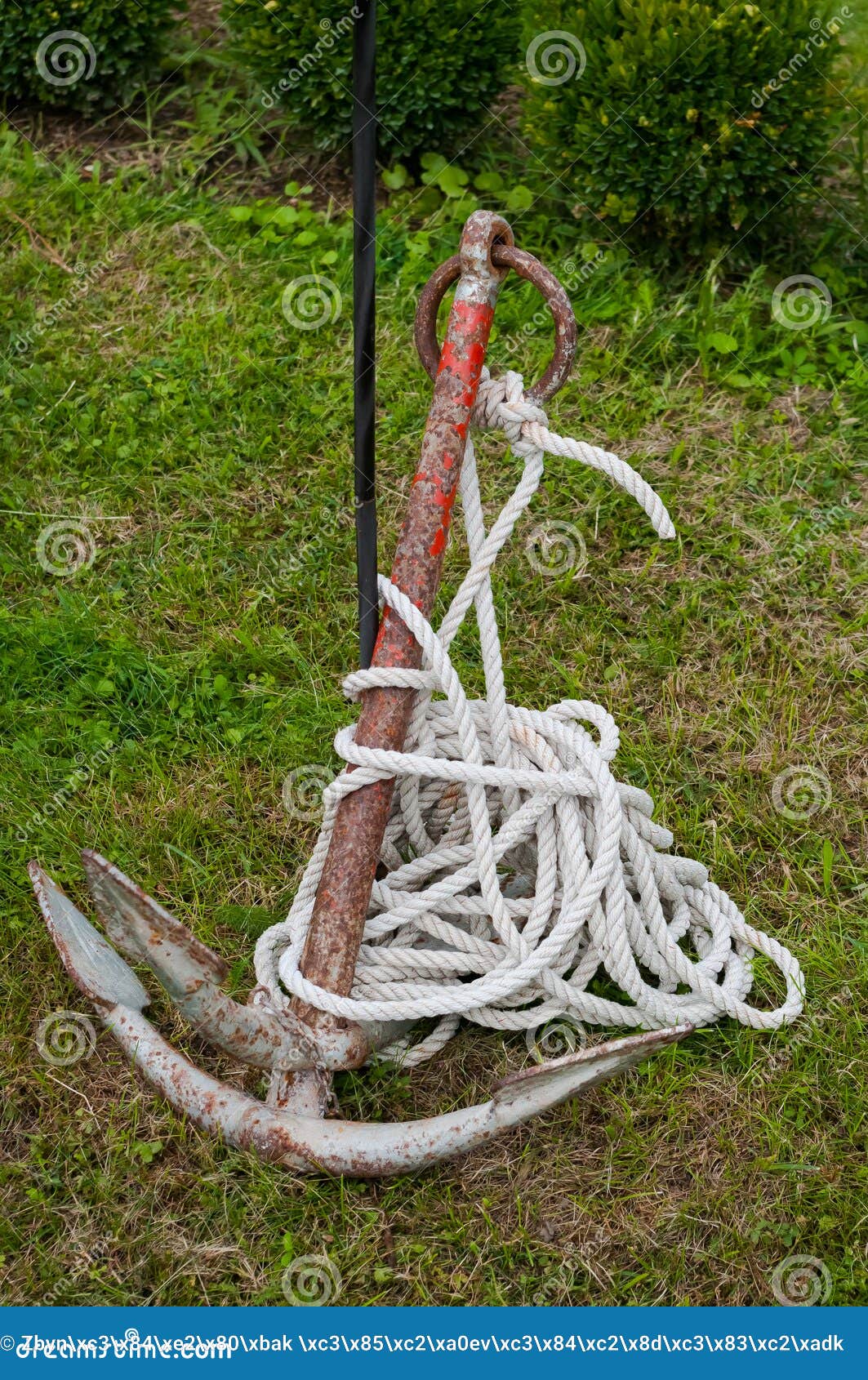 Old anchor on shore. stock image. Image of rope, craft - 136879021