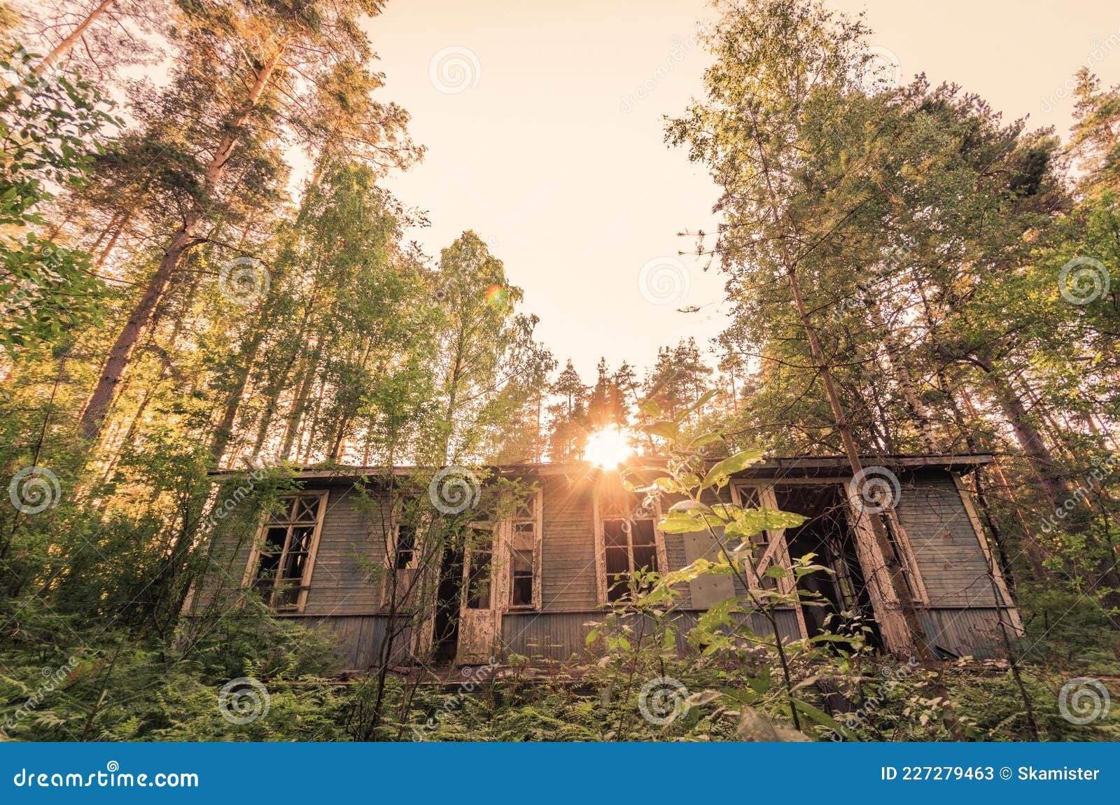 Old Ancient Dilapidated Abandoned House among the Trees Stock Image ...