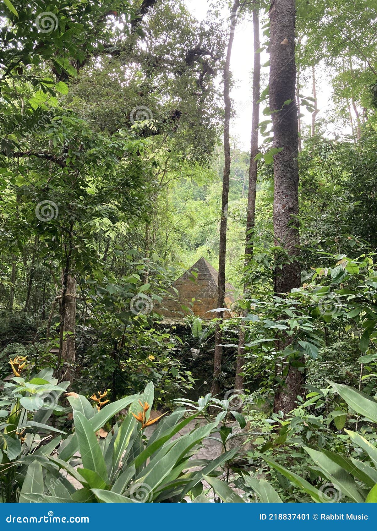 Pyramid in Thailand stock image. Image of jungle, pyramid - 218837401