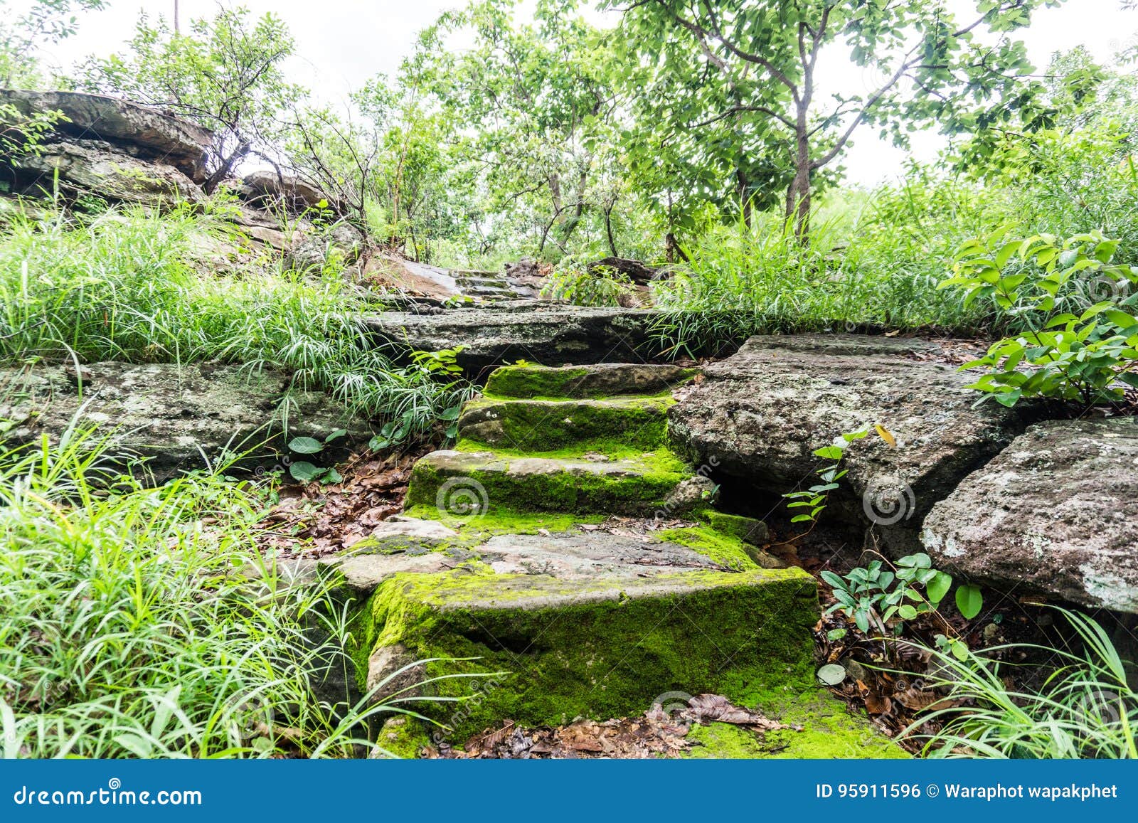 Old Ancient Stone Stairs with Moss. Stock Photo - Image of cement, back ... Old Ancient Stone Stairs with Moss. Stock Photo - Image of cement, back ...