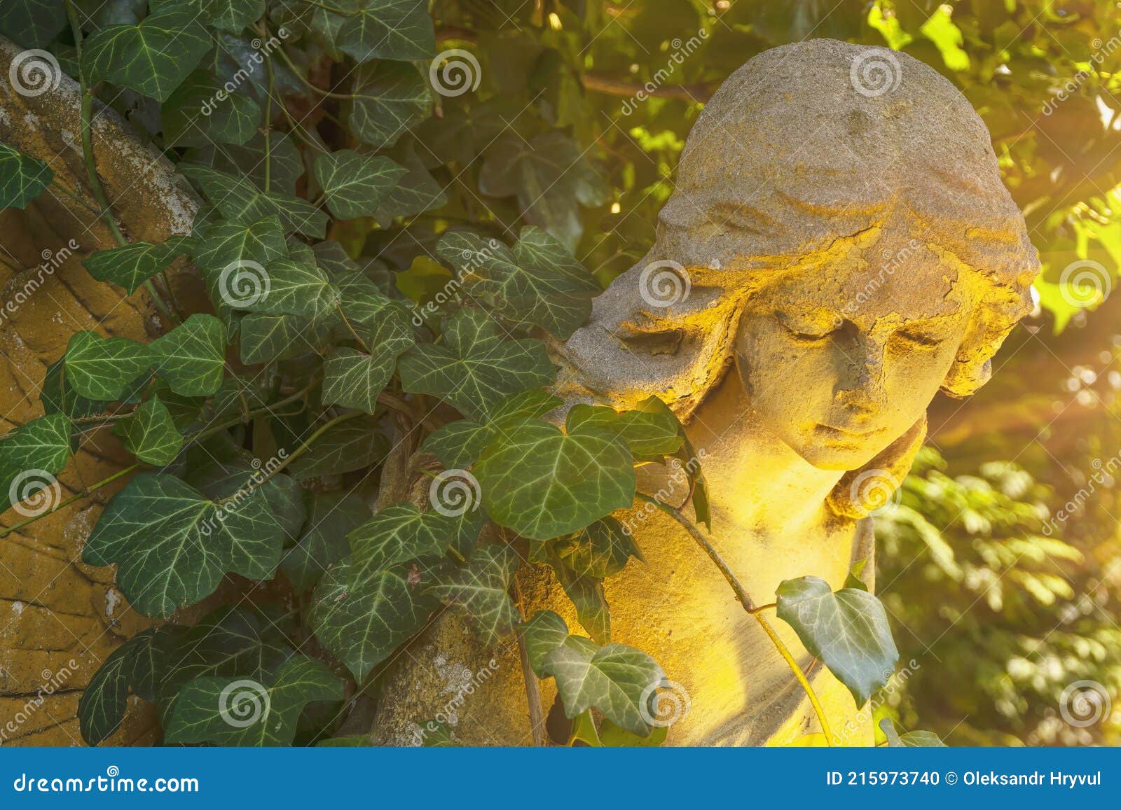 Sun Rays On Overgrown Graves In Cemetery Stock Photo | CartoonDealer ...