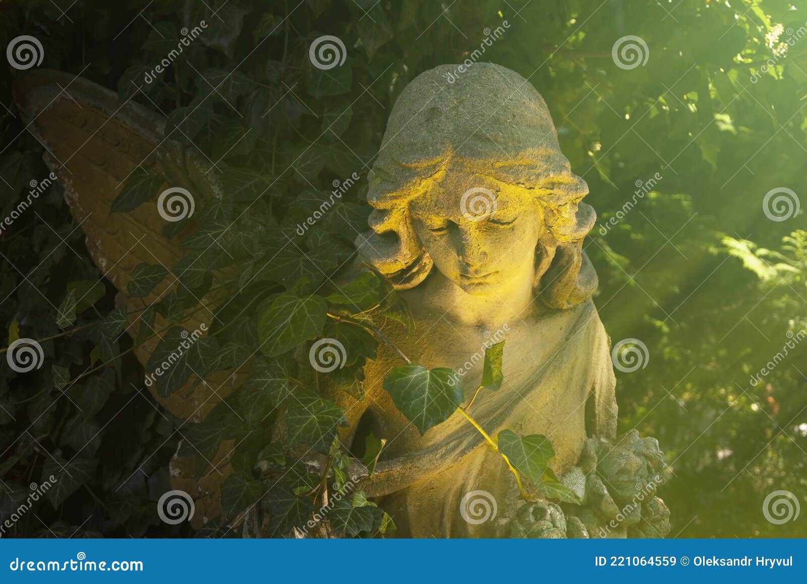 Old Angel Statue Which Has Become Overgrown with Ivy. in the Rays of ...
