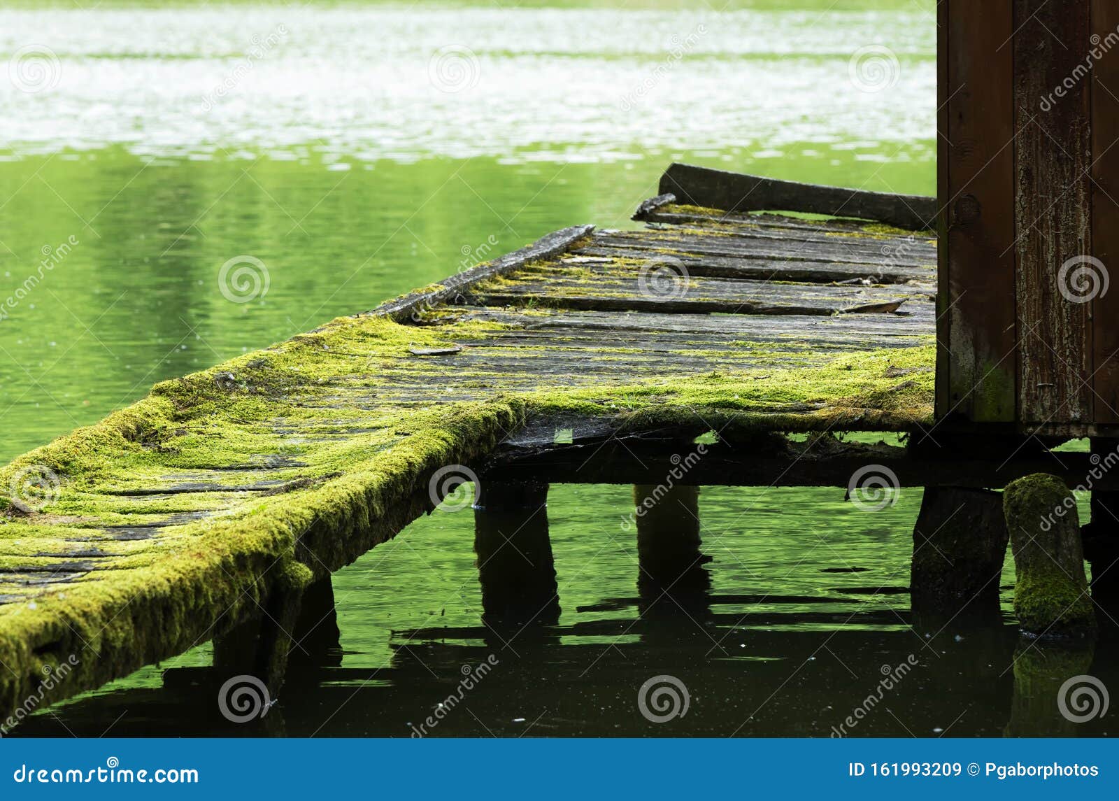 Old angler pier at lake stock image. Image of forest - 161993209