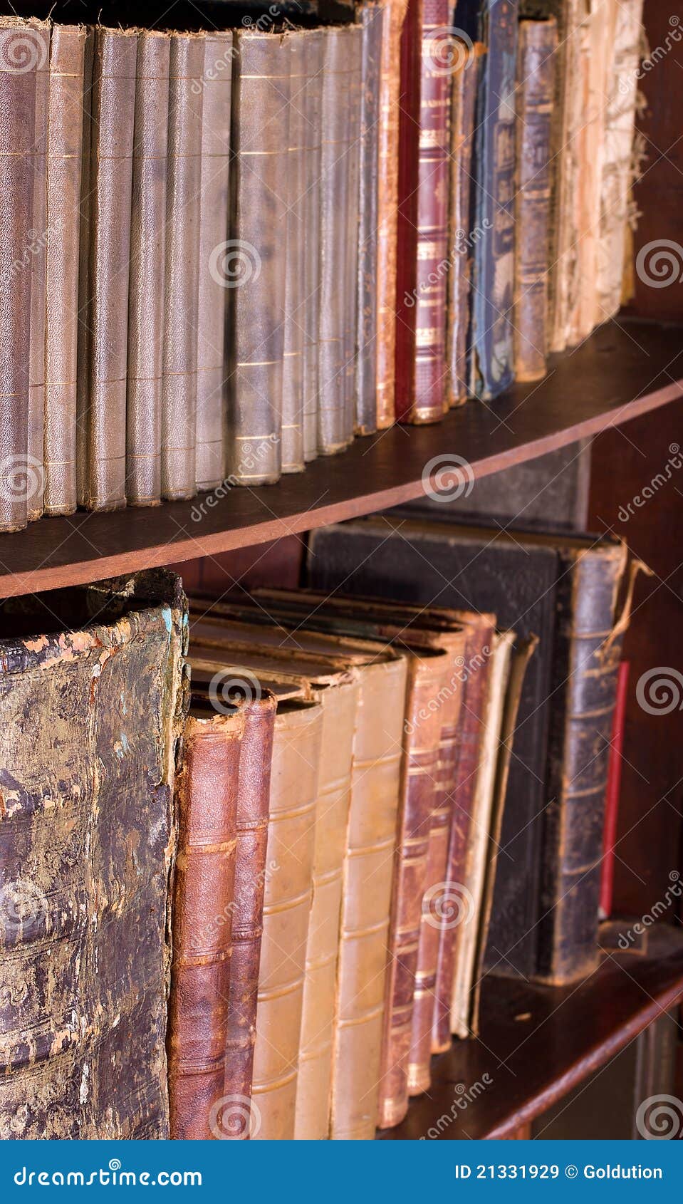 Antique Books Library