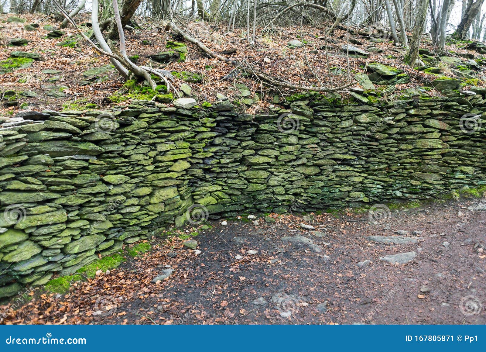Old Antique Forest Fortification Wall Stacked Stones Stock Image ...