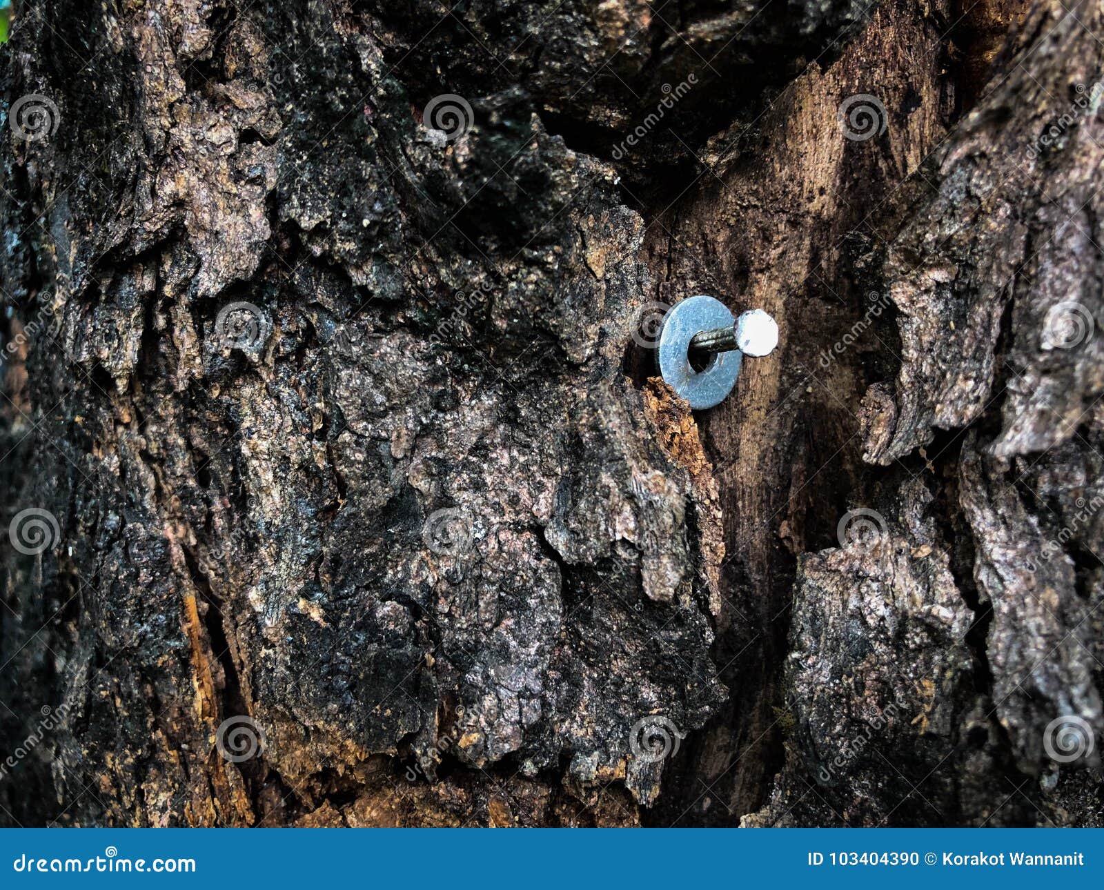 Antique Rust Working Tools For Carpenters And Farriers Royalty-Free ...