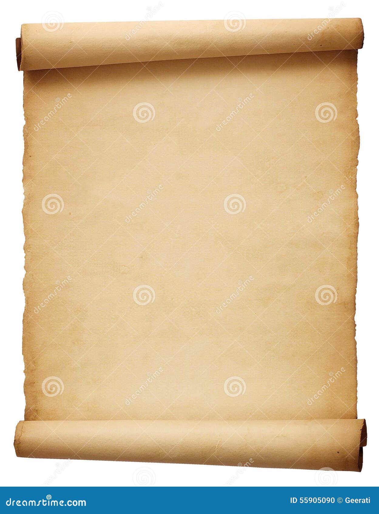 Paper Scroll With Feather Pen And Ink Pot Vector Illustration ...