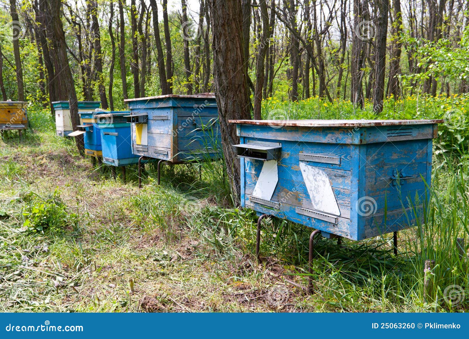 Old apiary stock photo. Image of honey, grass, honeycomb - 25063260