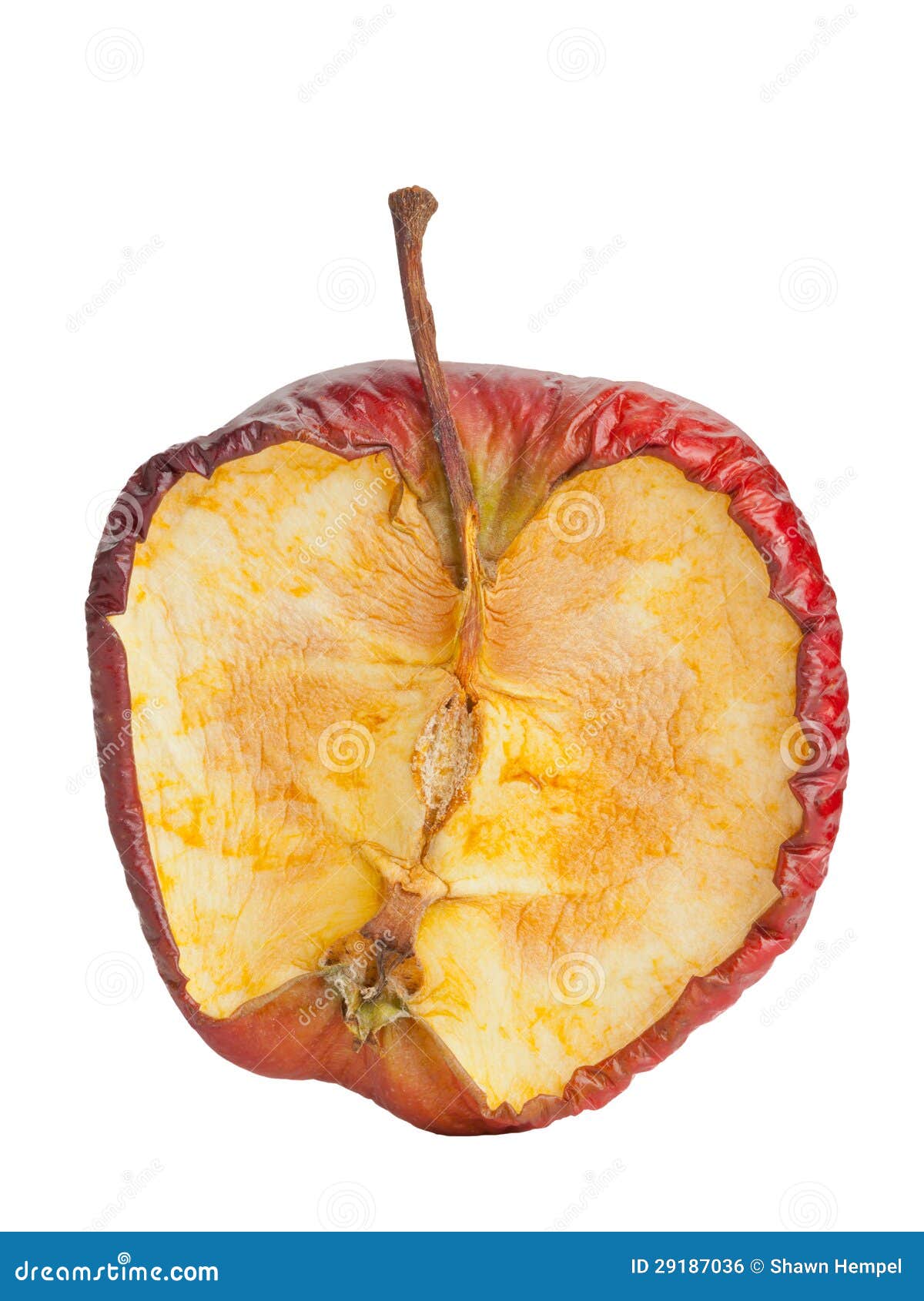 Old apple stock photo. Image of damaged, decay, background - 29187036