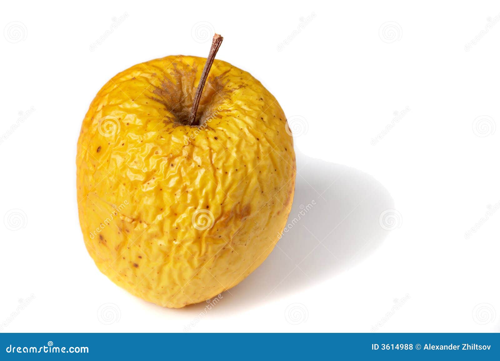 Old apple stock photo. Image of stem, apple, form, food - 3614988