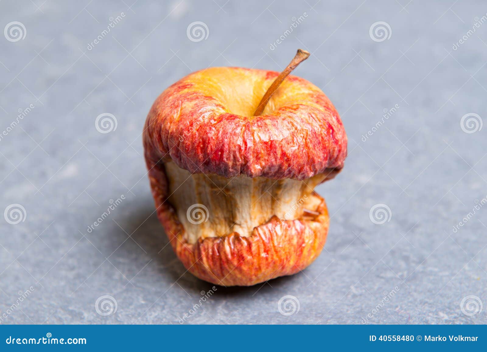Old apple stock photo. Image of nature, mold, wrinkled - 40558480