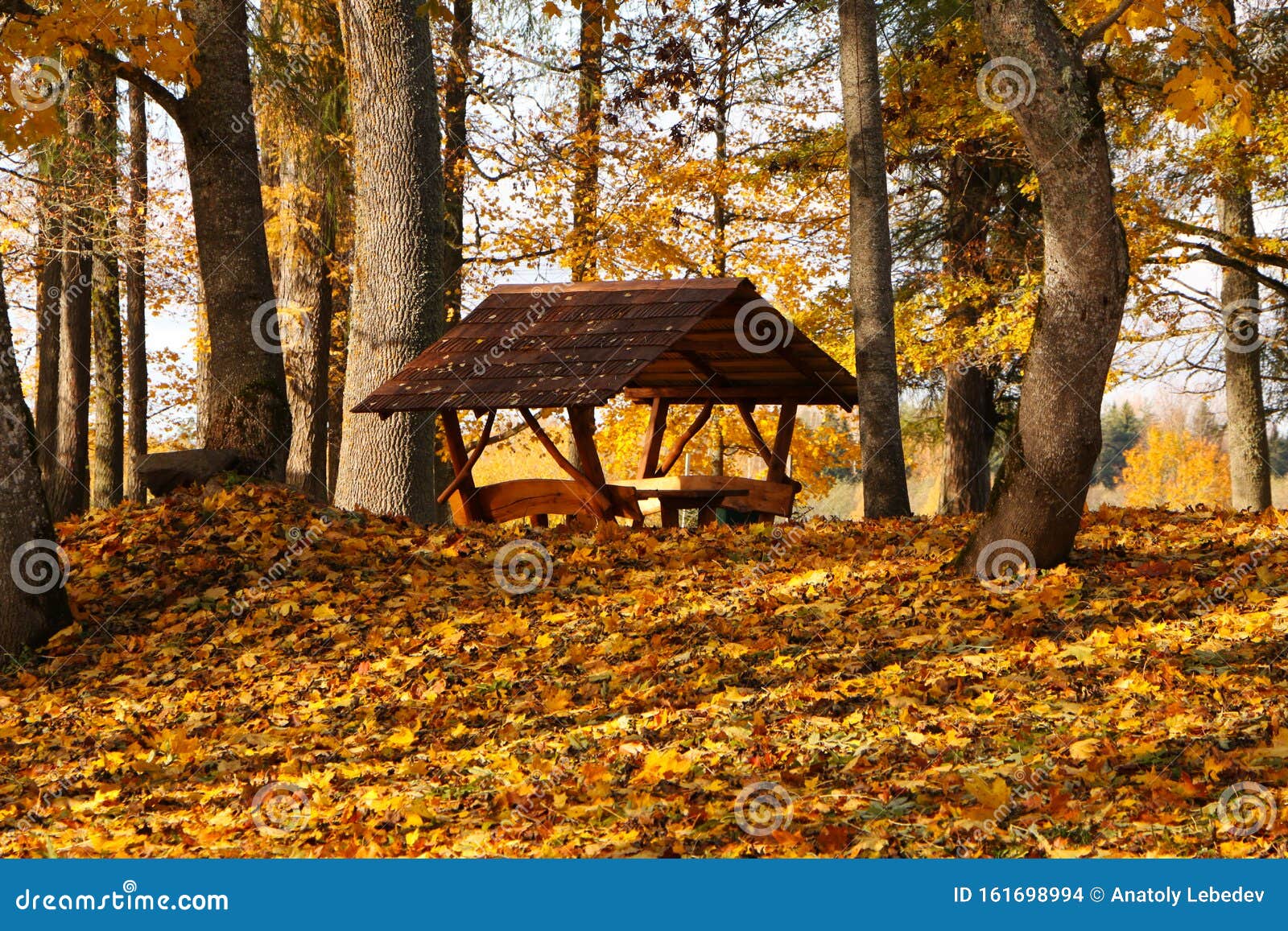 Old Arbor in a Beautiful Autumn Forest Stock Photo - Image of ...