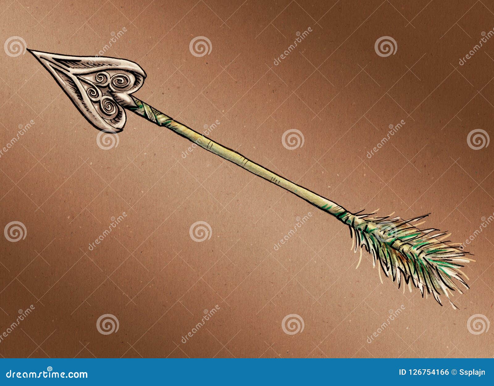 Close-Up Of A Snipe With Striking Plumage In Natural Habitat Royalty ...