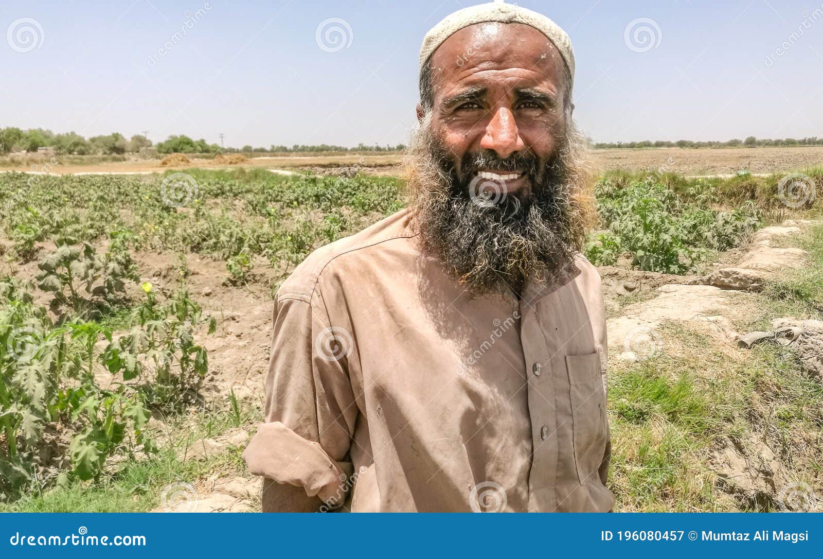 People Working Hard Farming