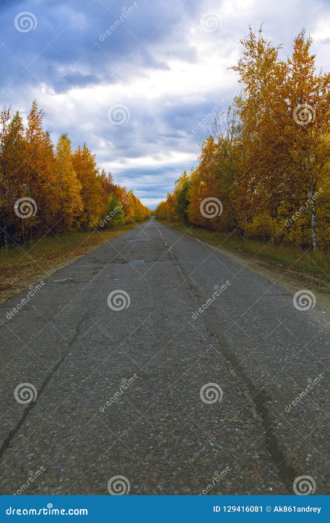 Old Asphalt Road Along the Autumn Forest Stock Image - Image of ...