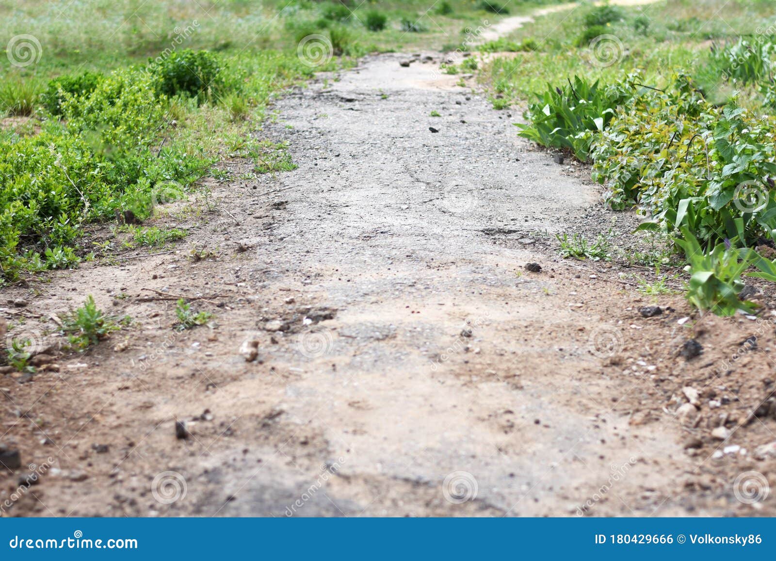 Old Asphalt Road Destroyed and Overgrown with Grass Stock Photo - Image ...