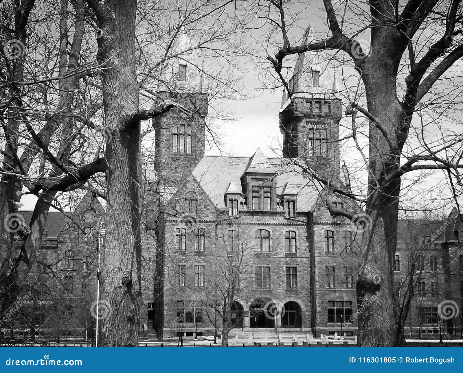 Old asylum stock image. Image of towers, urban, landmark - 116301805