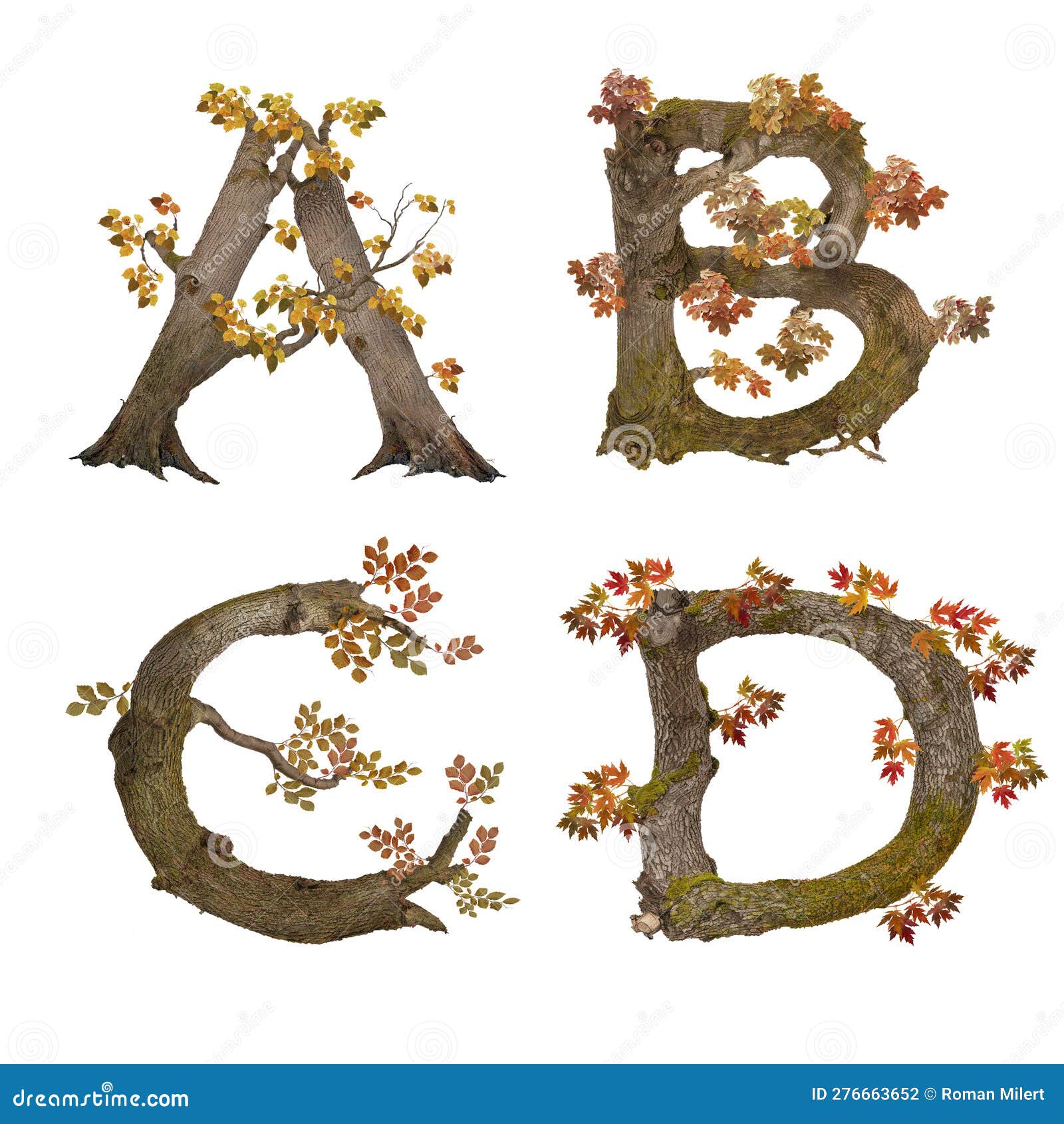 Old Autumn Tree Alphabet - Letters a-D Stock Illustration ...