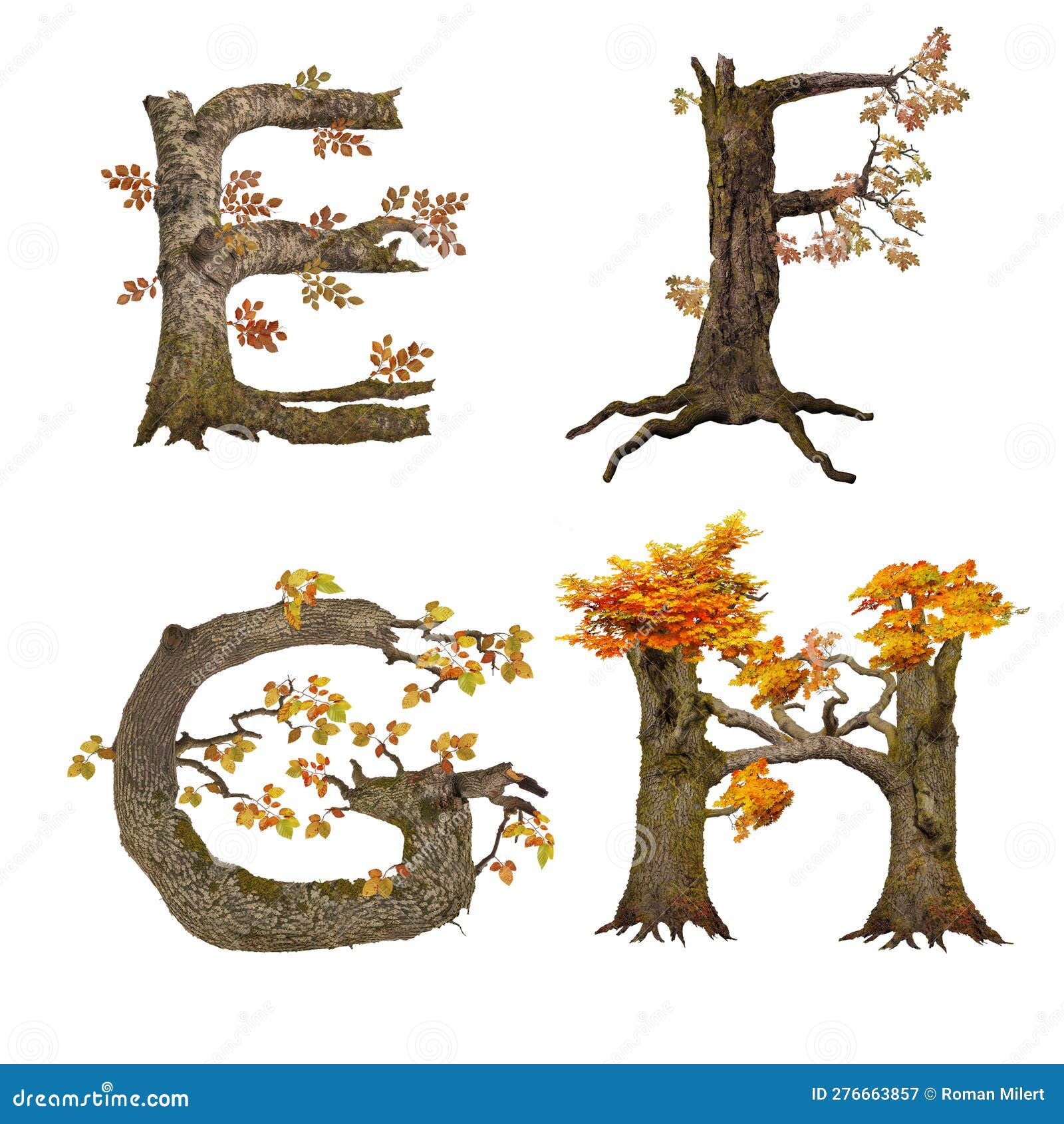 Old Autumn Tree Alphabet - Letters E-H Stock Illustration ...