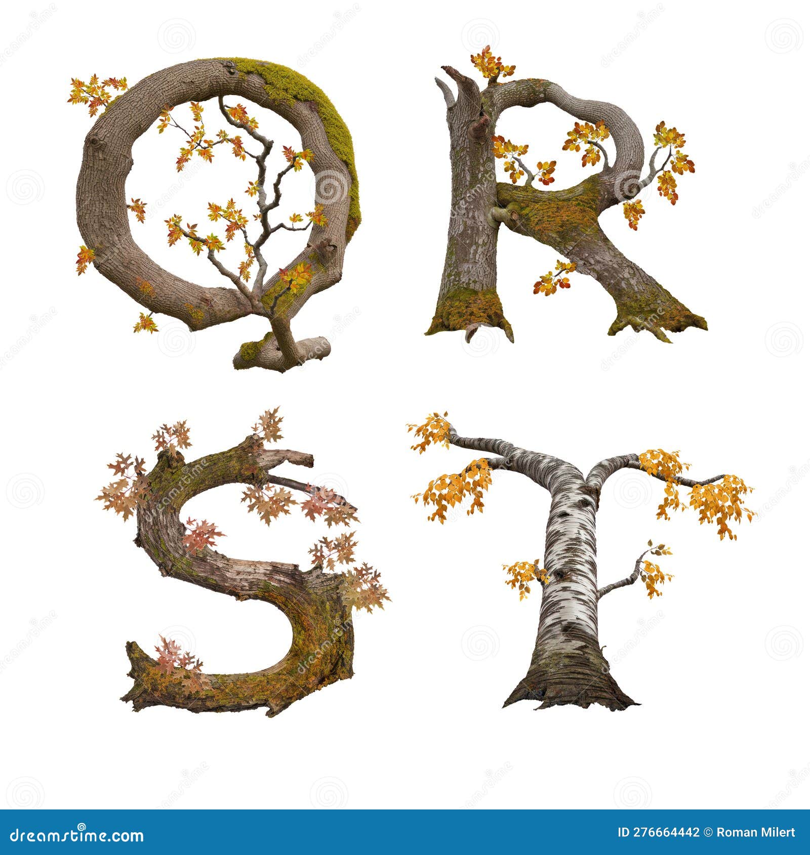Old Autumn Tree Alphabet - Letters Q-T Stock Illustration ...