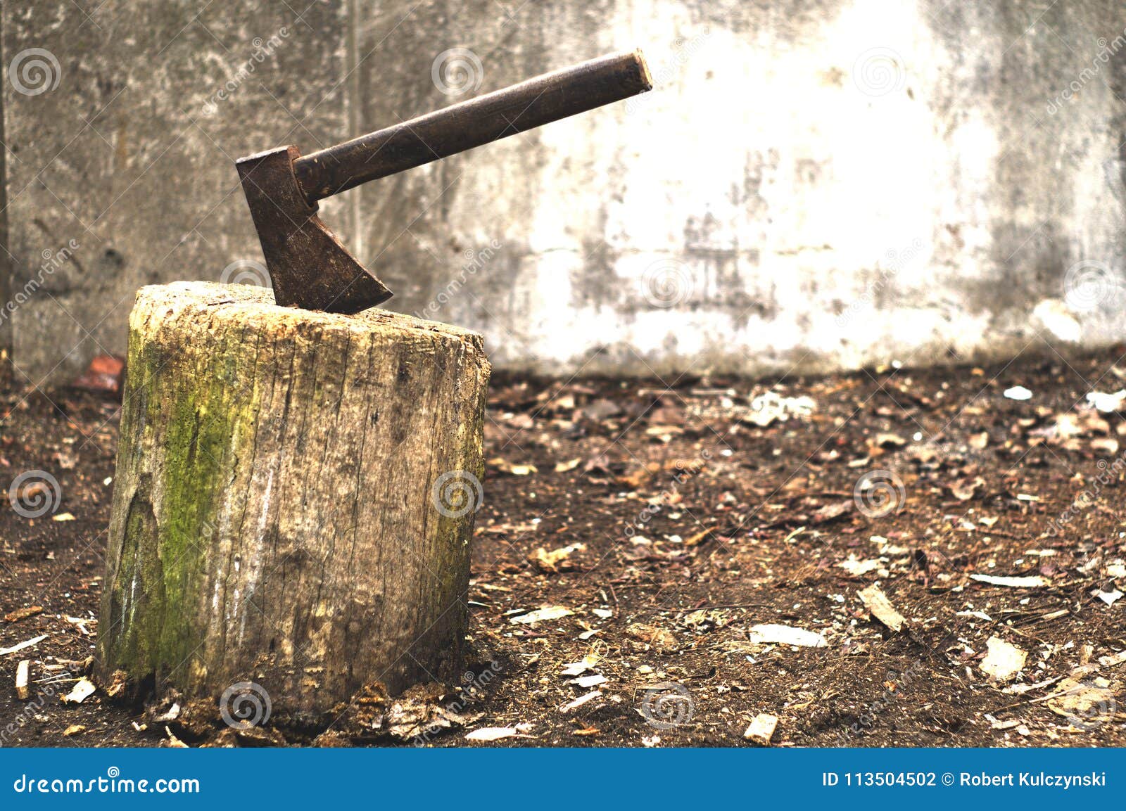 Old ax for chopping a tree stock vector. Illustration of iron - 113504502