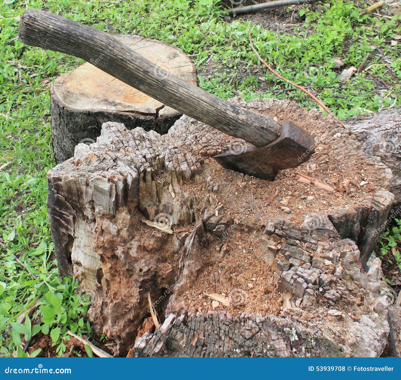 Old ax stock photo. Image of labor, employment, plant - 53939708