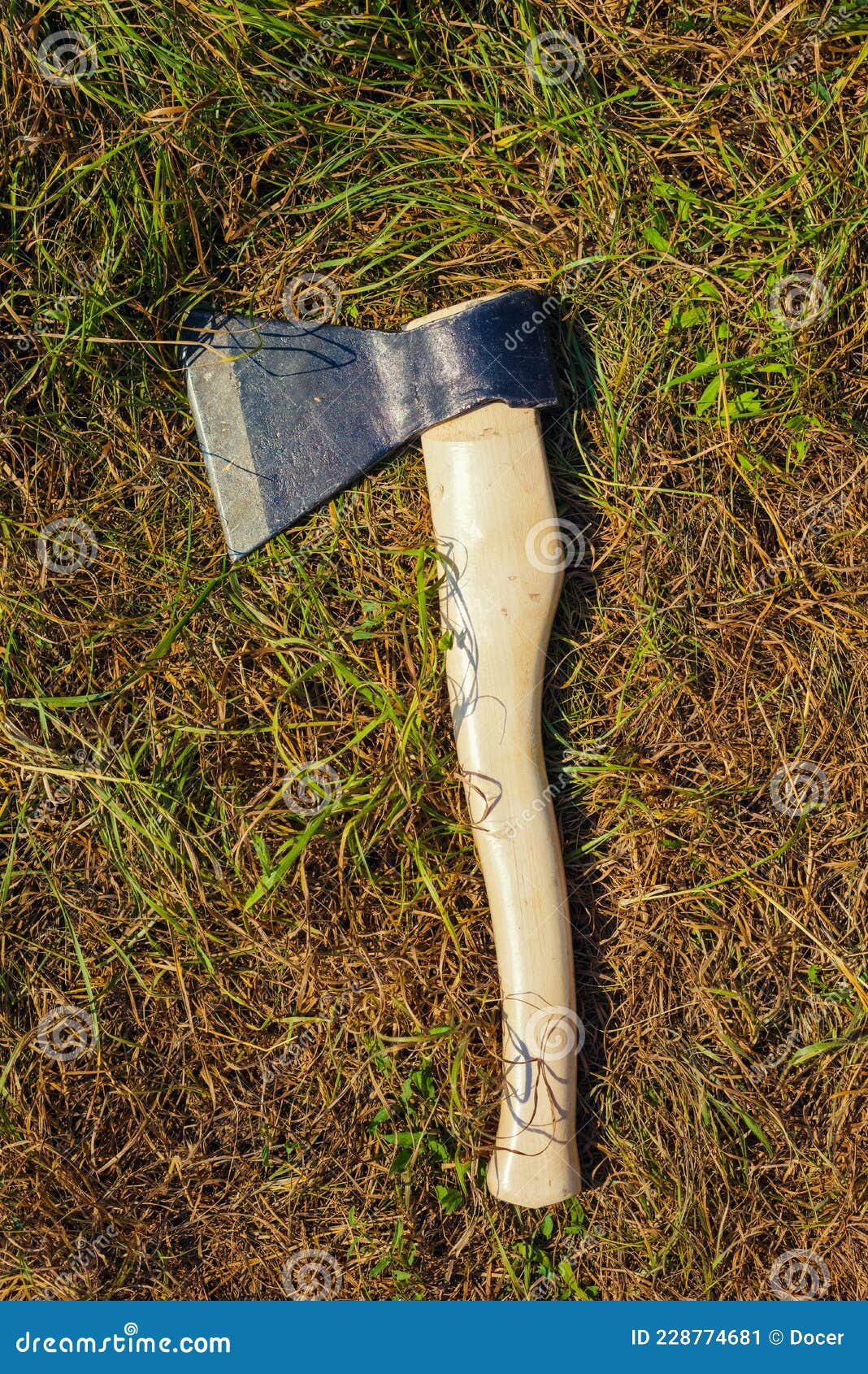 Old ax lying on a grass stock image. Image of hacket - 228774681