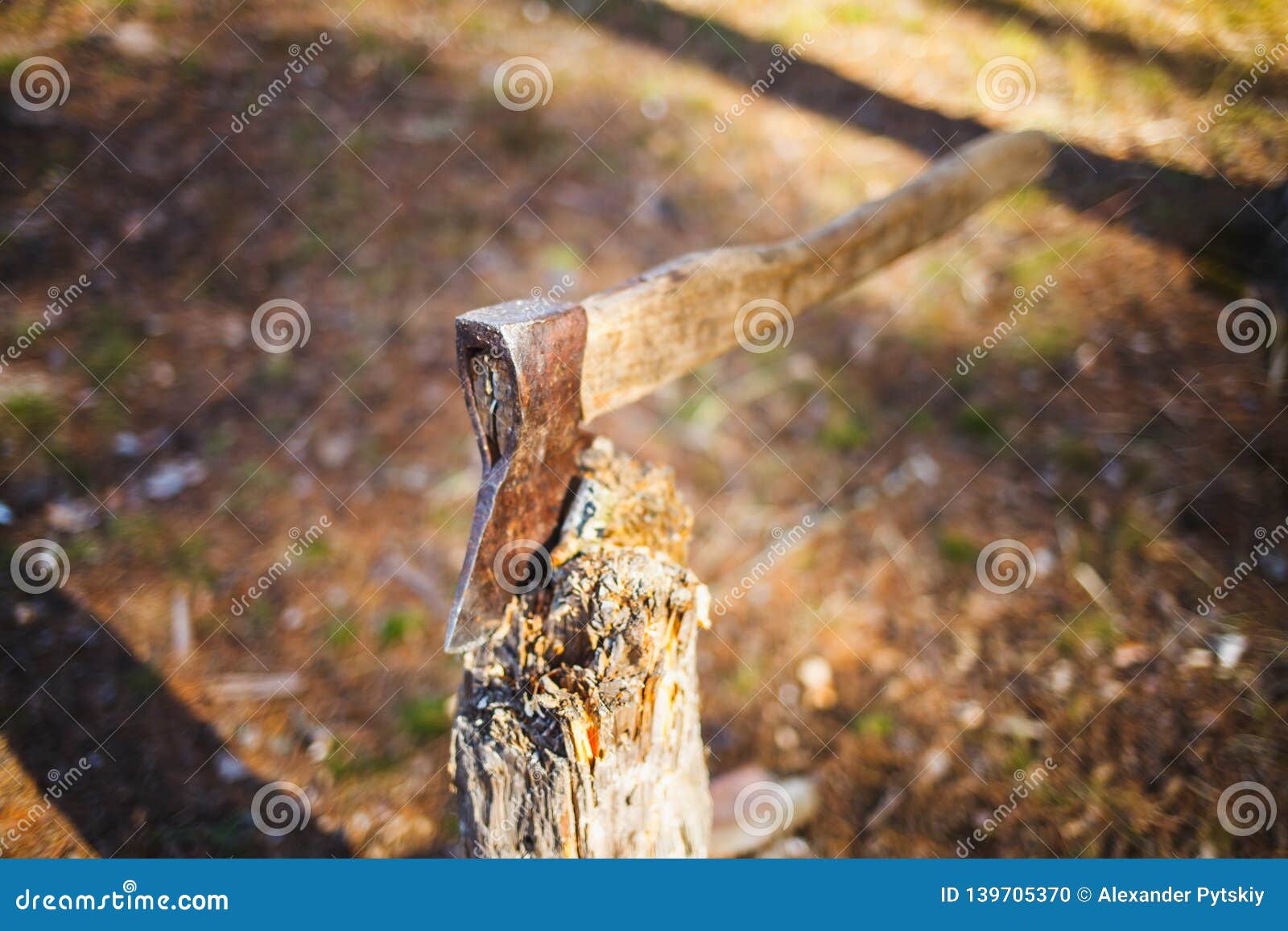Old Ax Stuck in a Tree Stump Stock Photo - Image of blade, fuel: 139705370