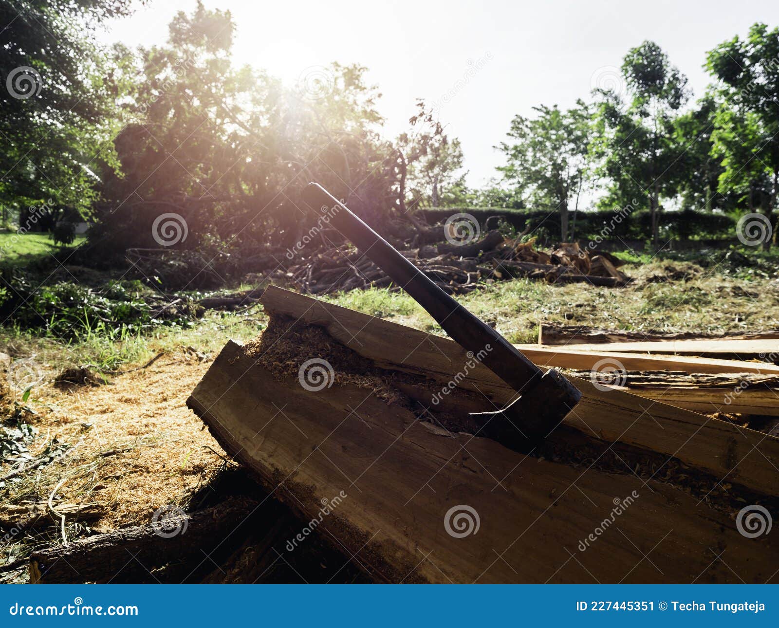 Old Axe in the Big Tree Log. Stock Image - Image of sawdust, blade ...