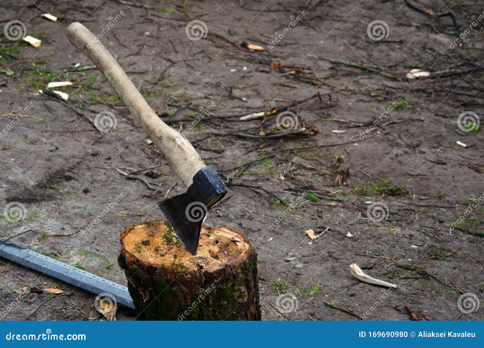 The Old Axe in the Chopping Block Stock Photo - Image of grass, bark ...