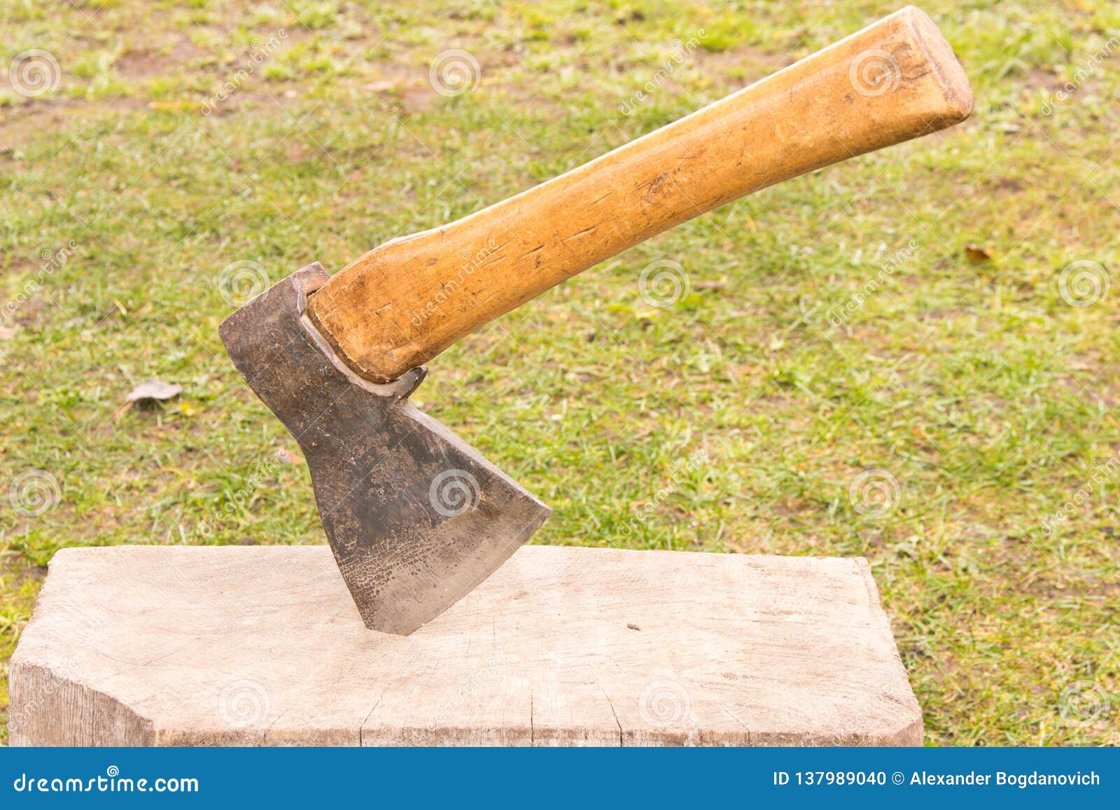 An Old Axe in an Oak Log. Close Up Stock Photo - Image of ecosystem ...