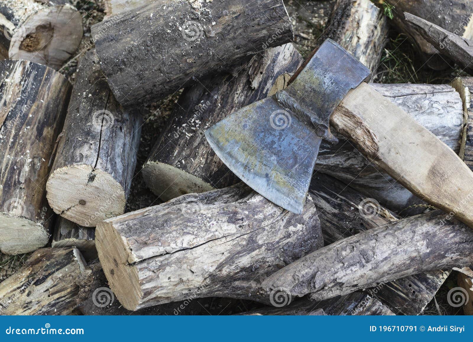 Old axe on a sawn tree. stock image. Image of lumber - 196710791