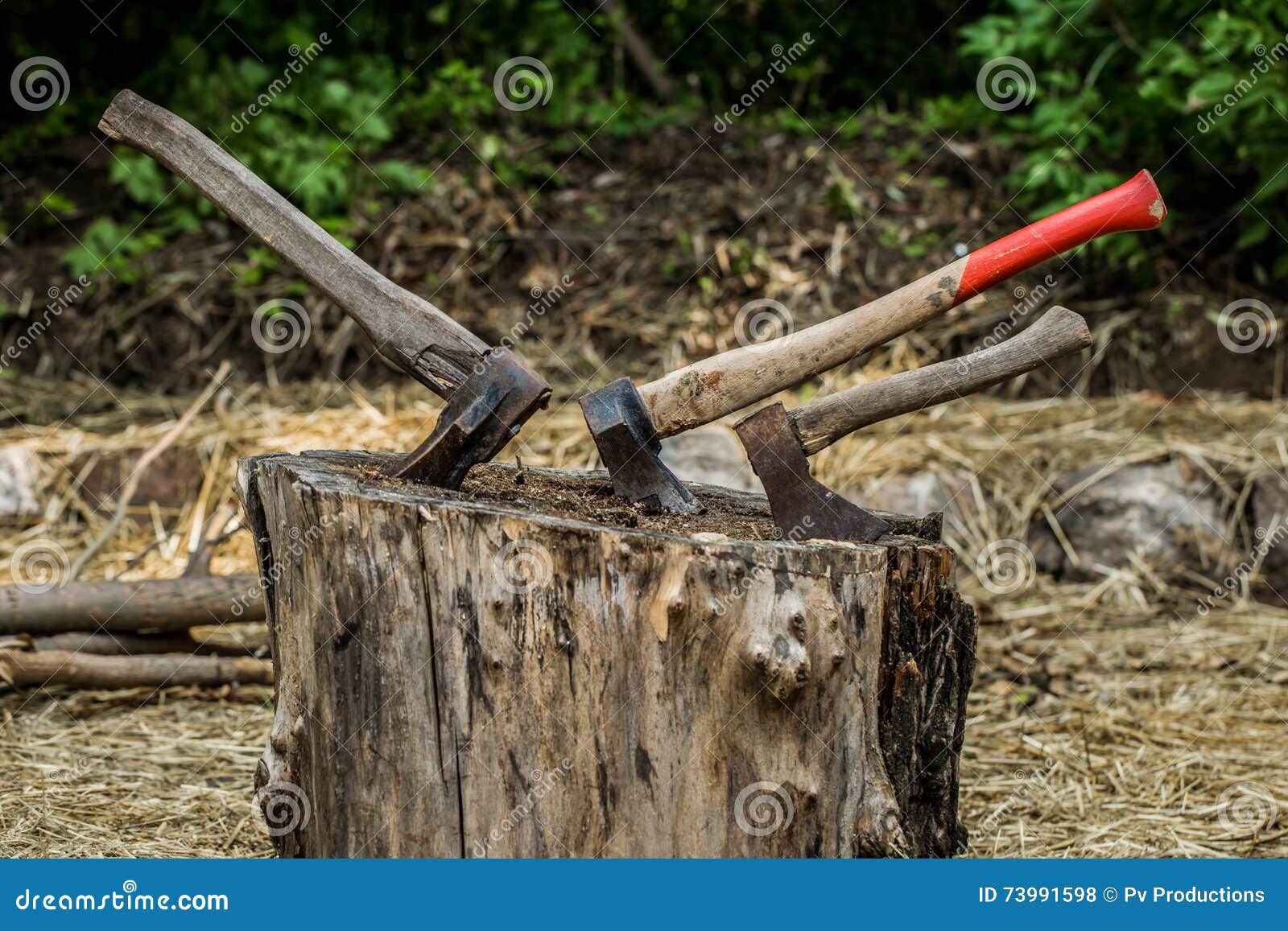 Old Axe Stuck in a Stump, on Background of Straw Stock Photo - Image of ...