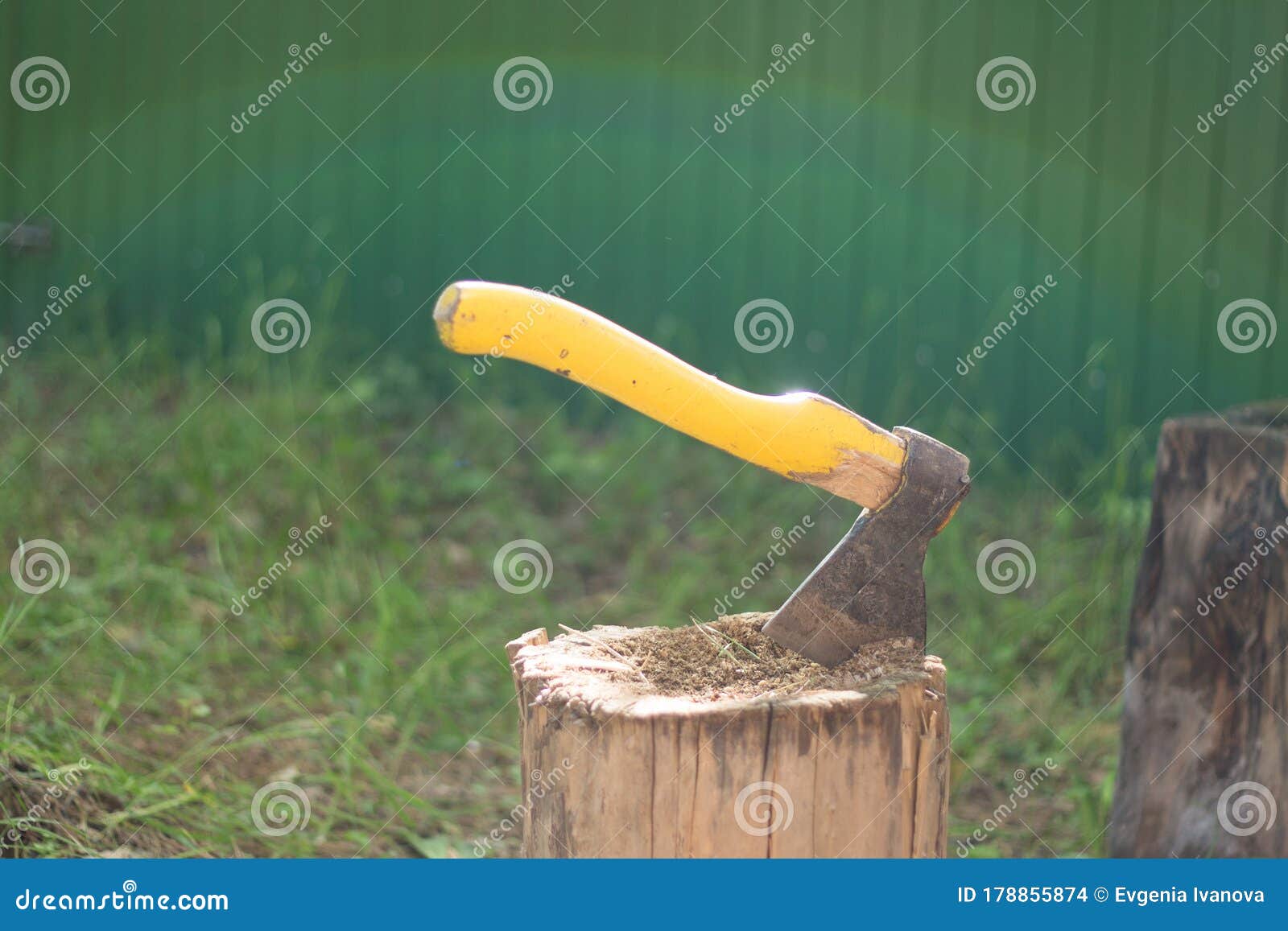An old axe on a stump stock photo. Image of nature, toolnn - 178855874