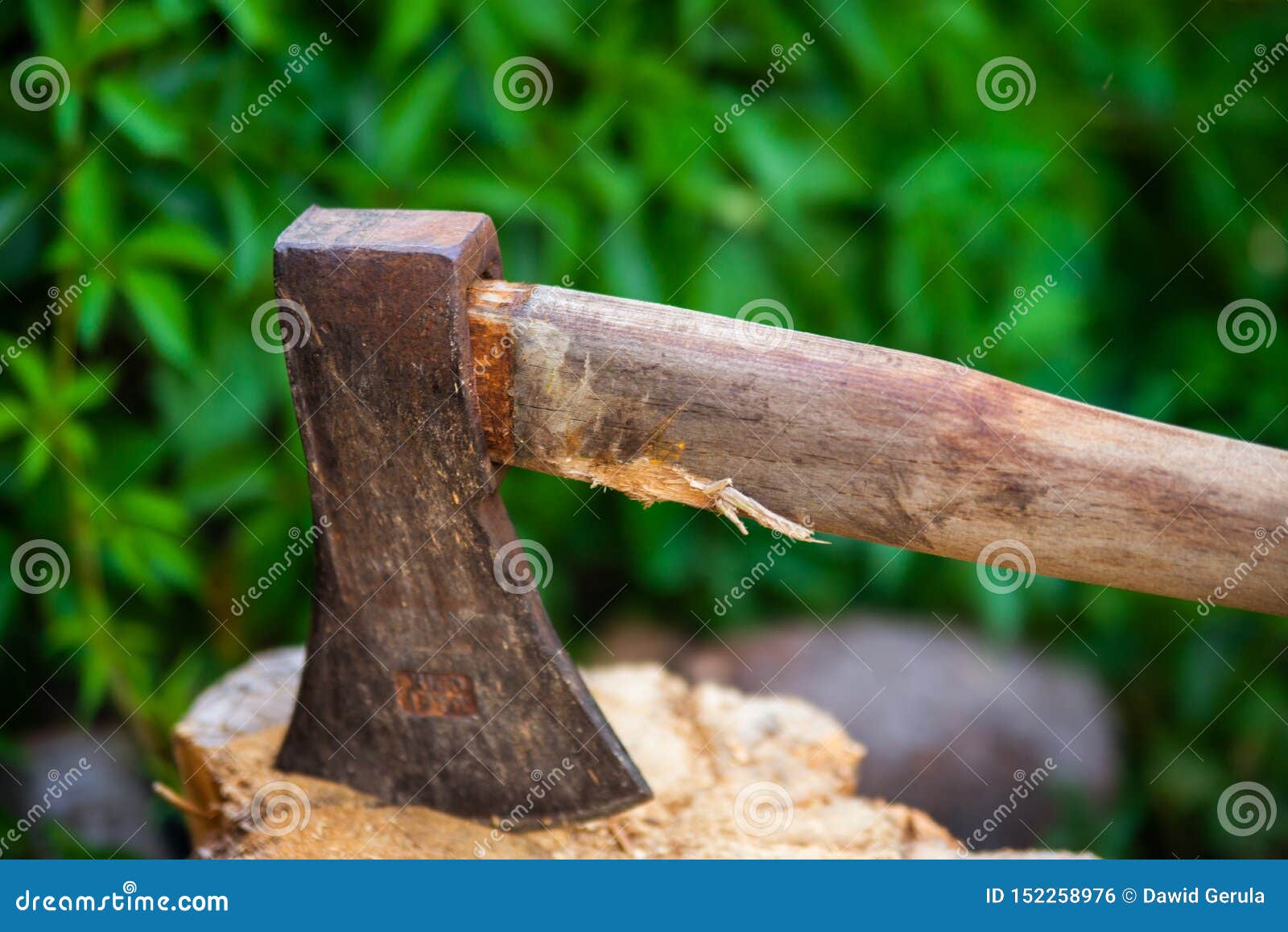 Old Axe In Stump. Axe Pounded In The Trunk Of Tree With Green Plants In ...