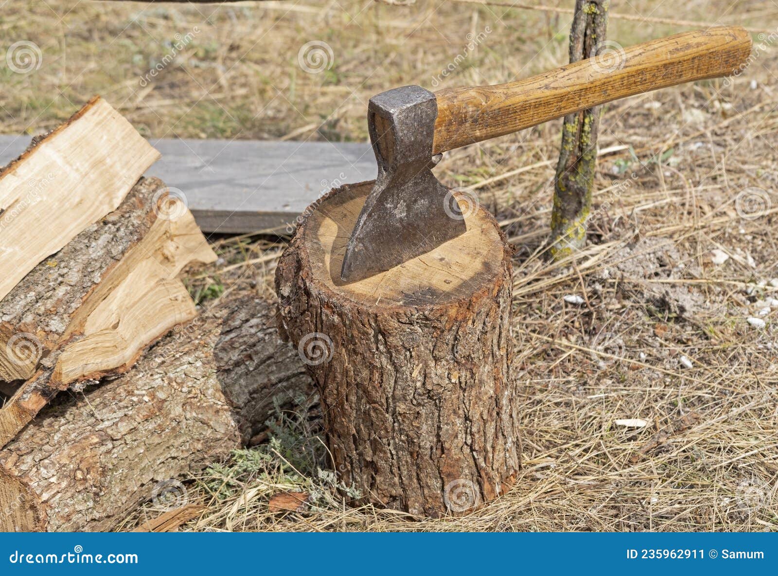 Axe on the stump stock image. Image of stub, acute, instrument - 235962911