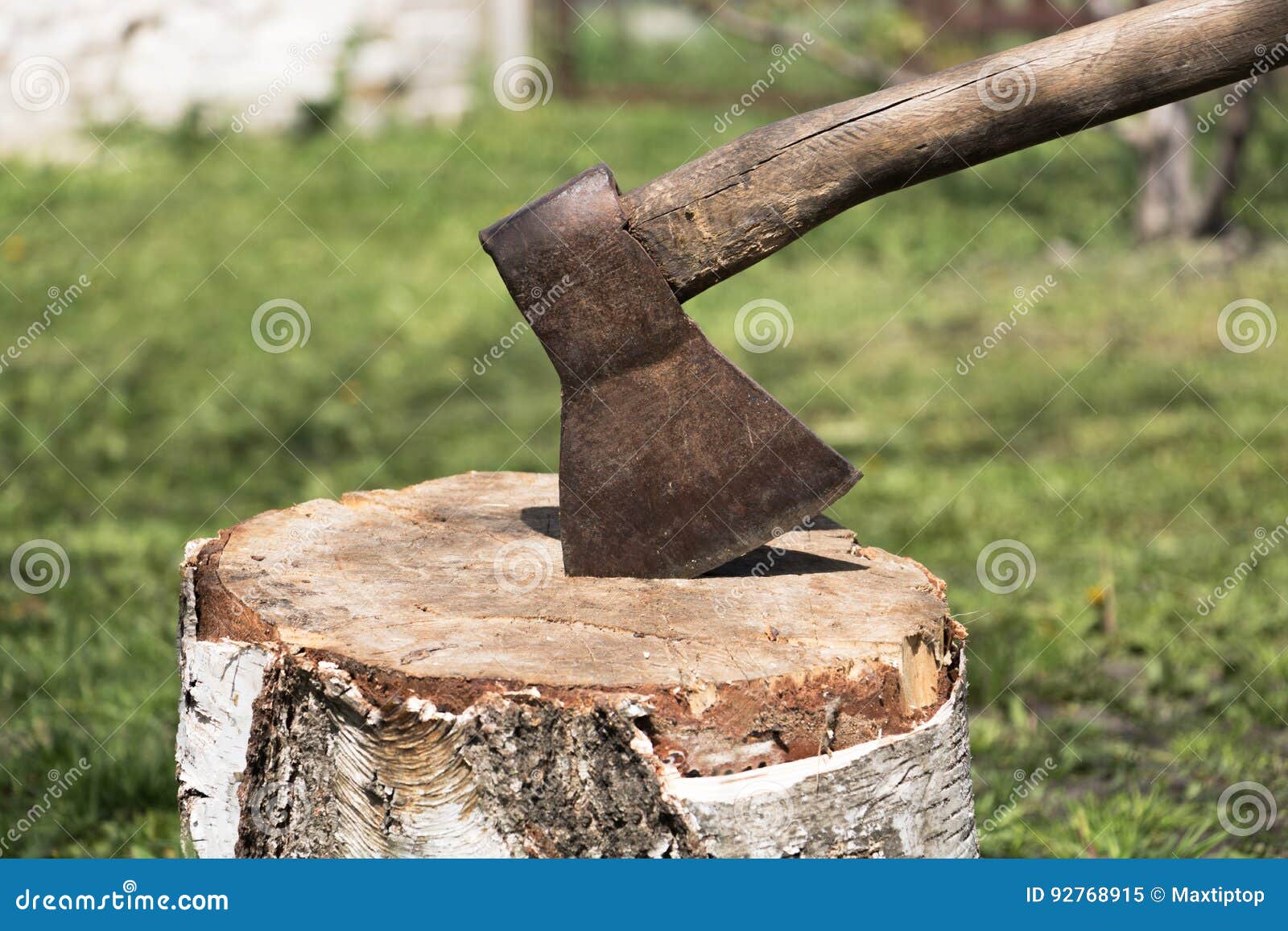 Old axe in tree stump stock image. Image of stump, handle - 92768915