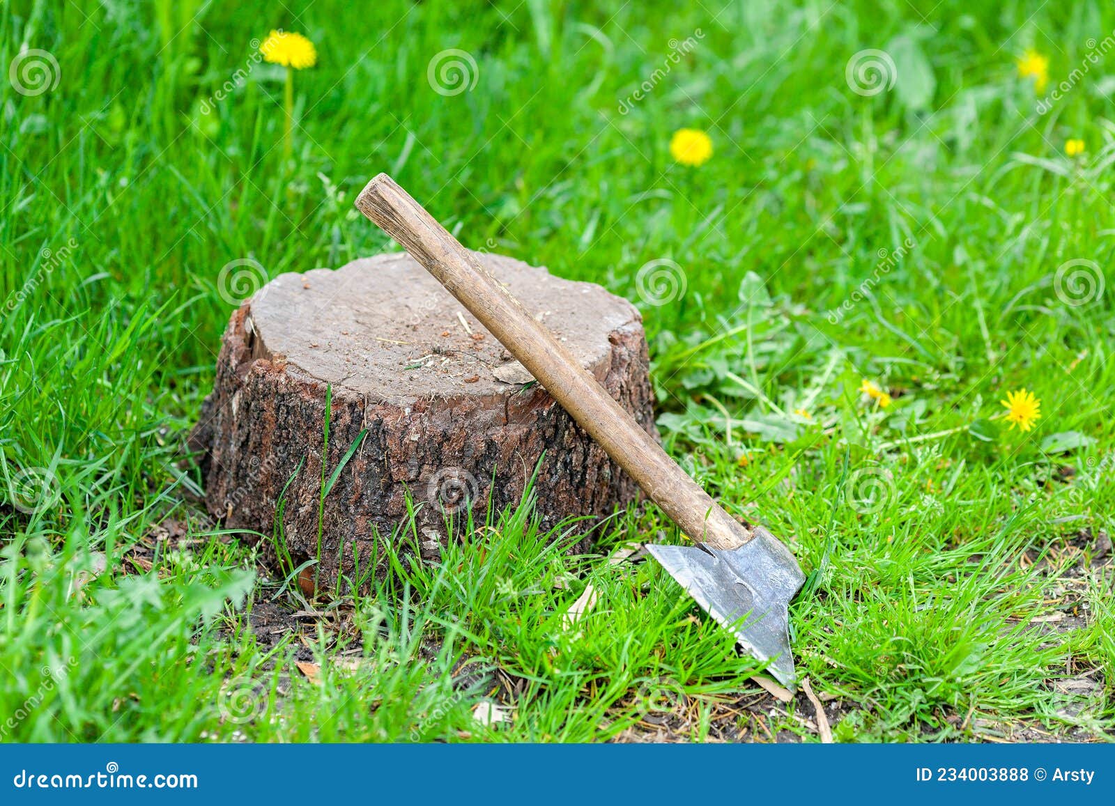 Ax and tree stump stock photo. Image of iron, blade - 234003888