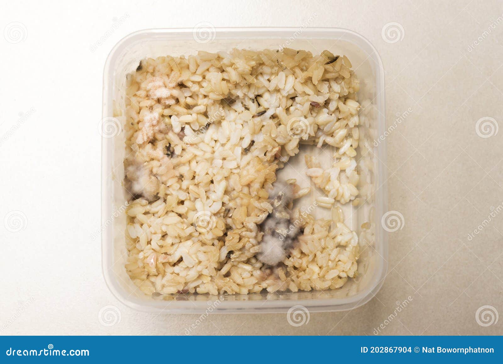 Old Bad Spoiled Rice in Plastic Box Stock Photo - Image of waste ...