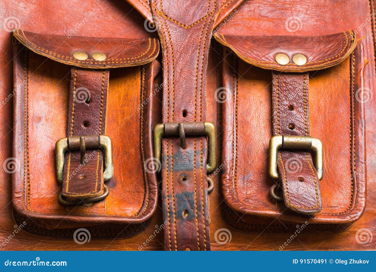 The Old Bag in Leather Buffalo with Locks Stock Image - Image of ...