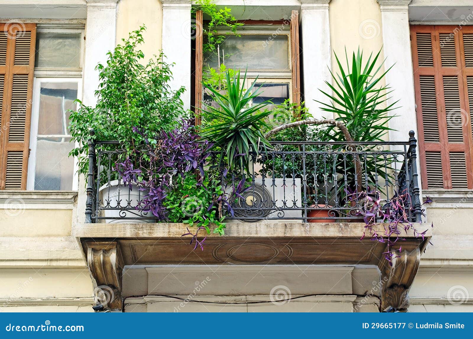 Old balcony. stock image. Image of plant, leaves, bush - 29665177