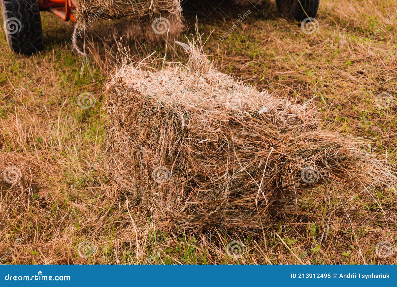 Old Bale Press, Hay Harvesting in the Village for Cattle, Press Work ...