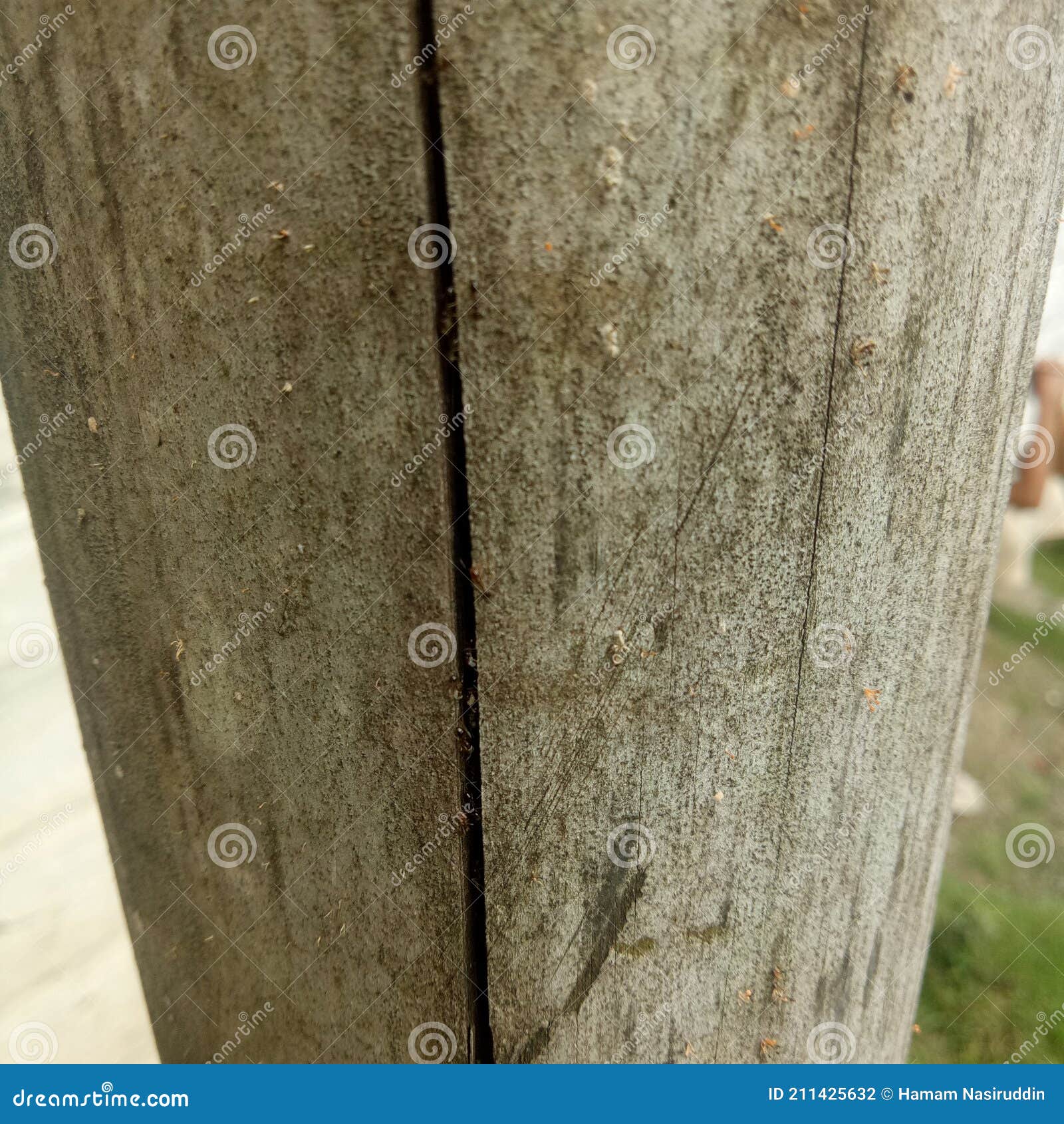 Old bamboo break stock photo. Image of village, break - 211425632