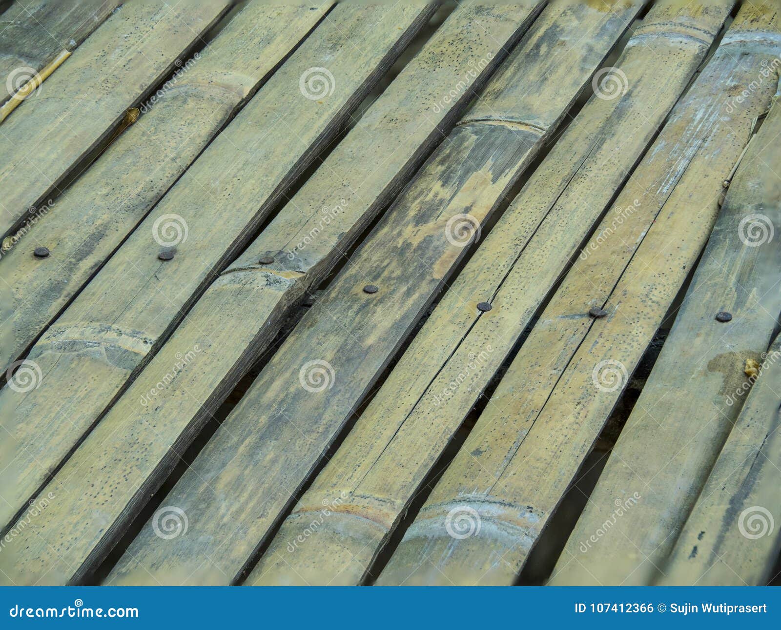 Old bamboo litter stock photo. Image of wallpaper, grunge - 107412366