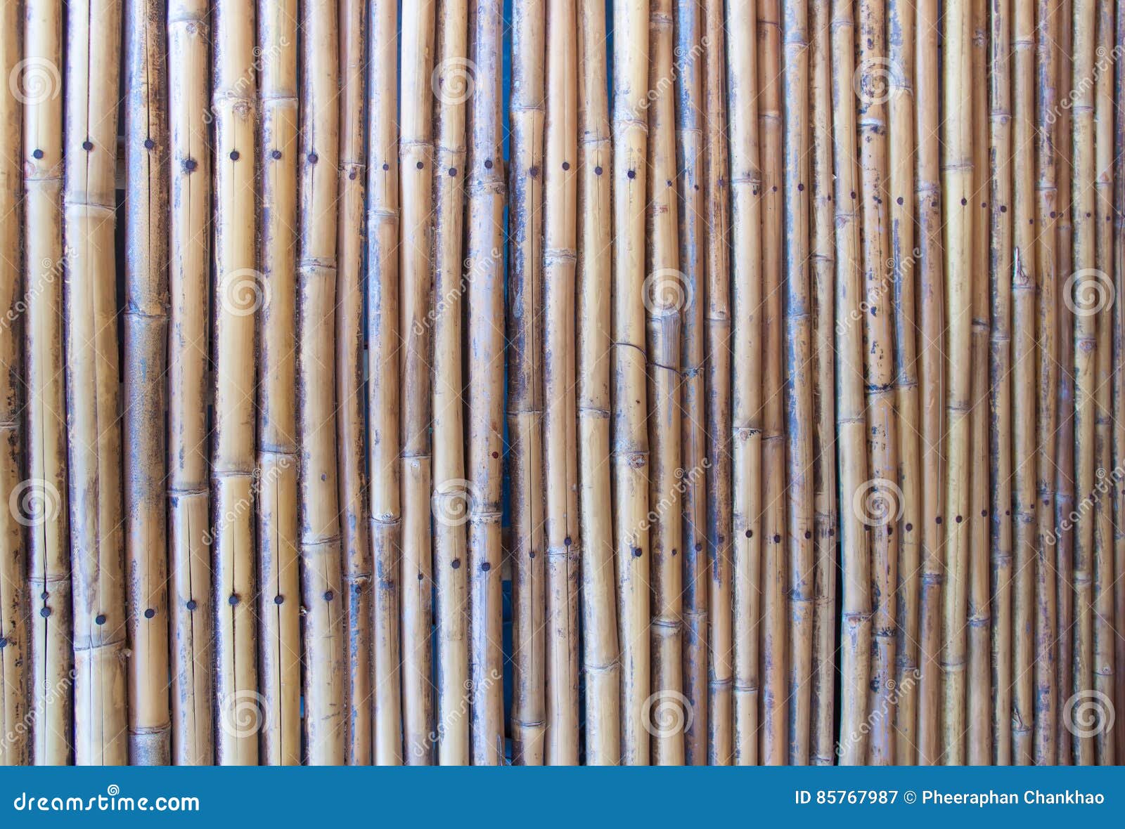 Bamboo Partition Stock Photo | CartoonDealer.com #53821956